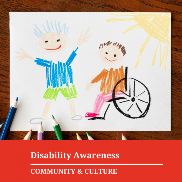 Disability Awareness - NIIDS