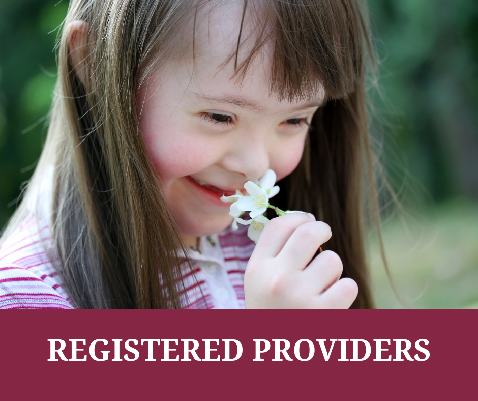 Registered Providers Archives - NIIDS